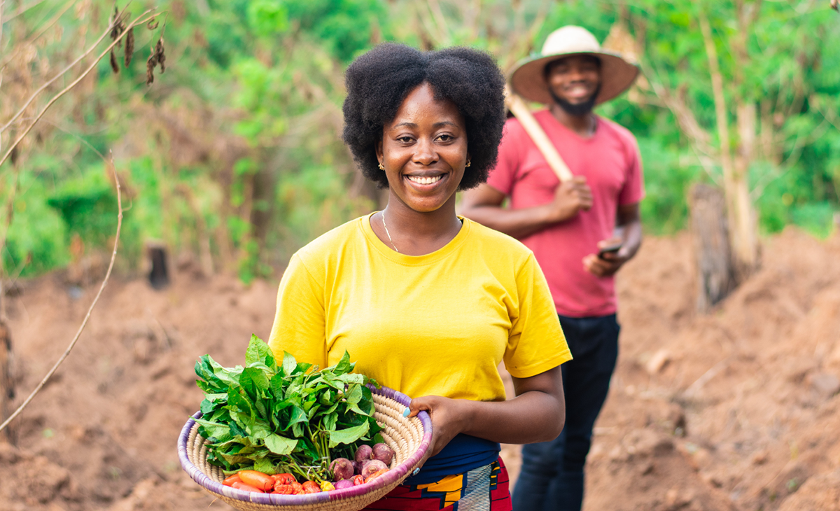 Green Connect - Jun23 Intake - Harness Projects