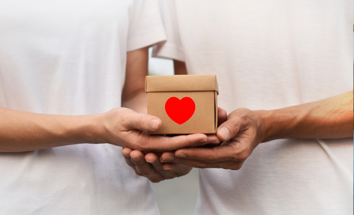 Up by GOGO - Jun23 Intake - Harness Projects