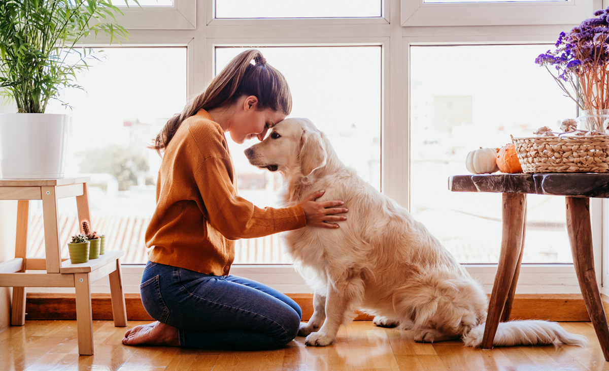 Cherished Pets - Jan24 Intake - Harness Projects