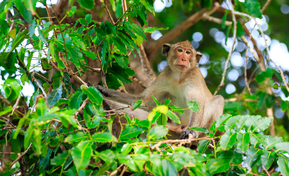 ReWorld - Jan24 Intake USE - Harness Projects